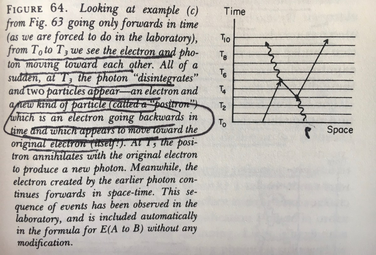 Because science: “Every particle in nature has an amplitude to move ...